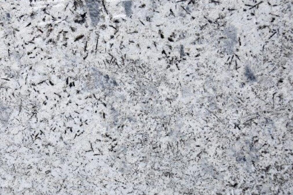 Olympia Stone & Quartz - Exotic Quartzite, Timeless Marble, Classic ...